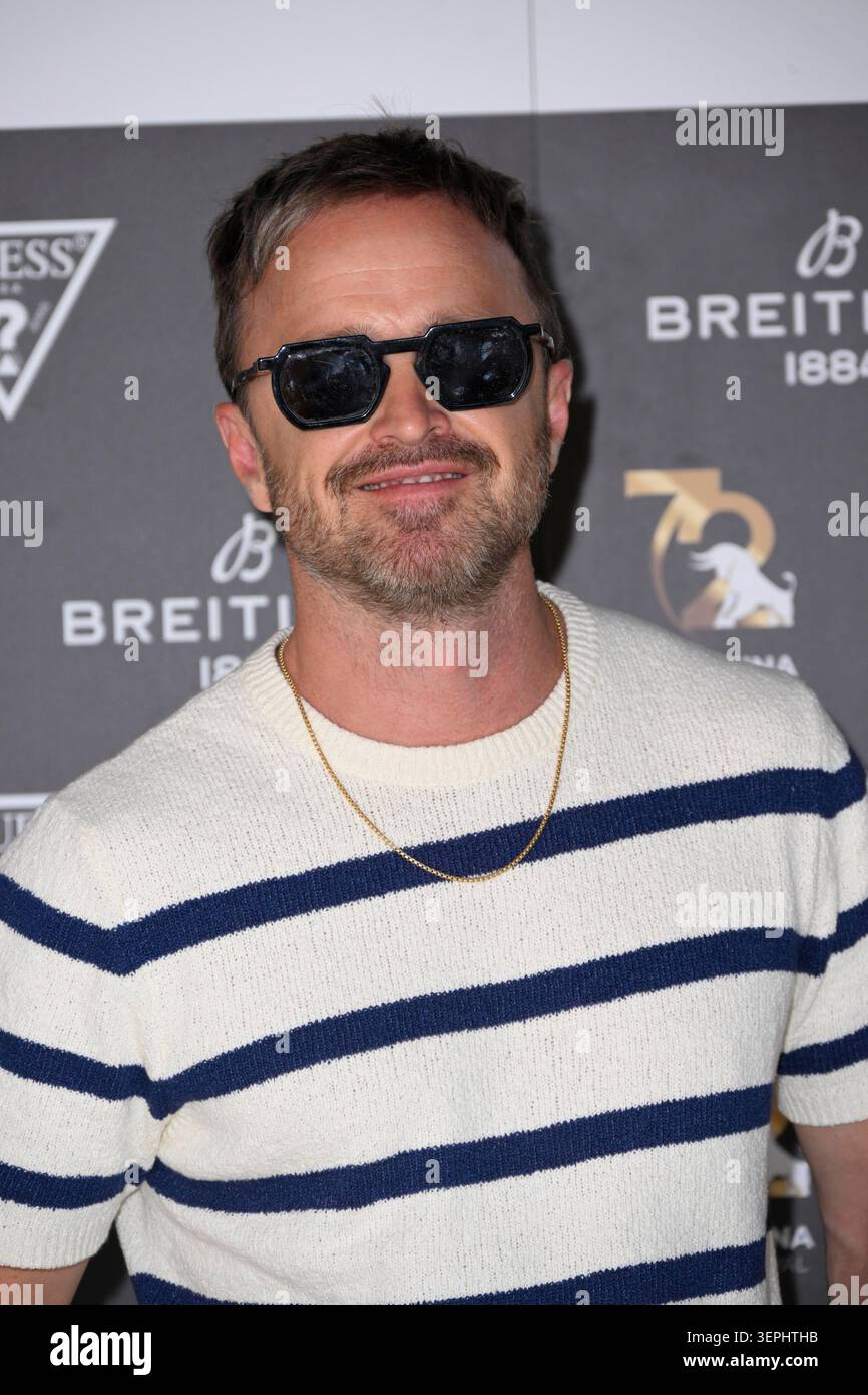 Aaron Paul 72nd Taormina Film Festival Photocall of the movie -Bear ...