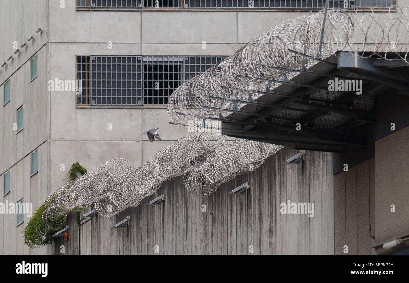 PRODUCTION - 15 June 2026, Hesse, Frankfurt am Main: The correctional ...