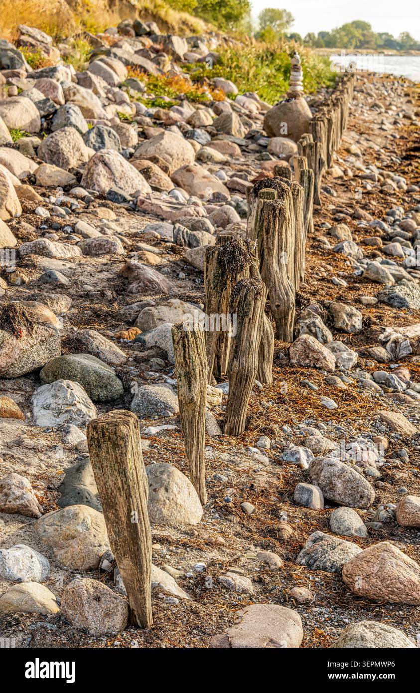 Küstenlandschaft bei Kellenhusen, Schleswig Holstein, Deutschland Stock ...