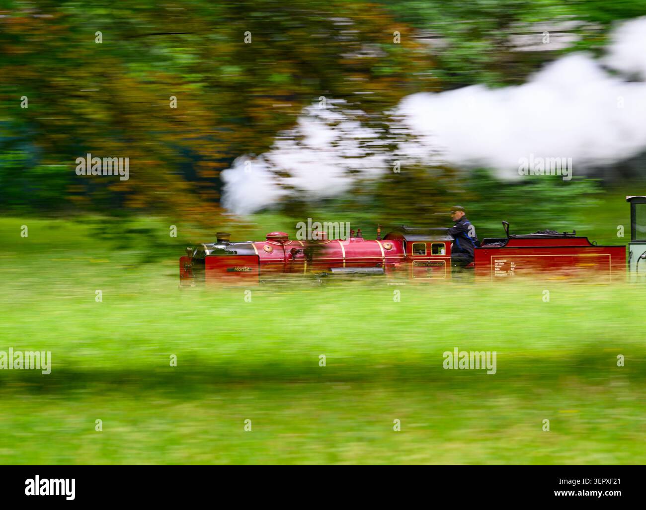 13 June 2026, Saxony, Dresden: The steam locomotive Moritz of the ...