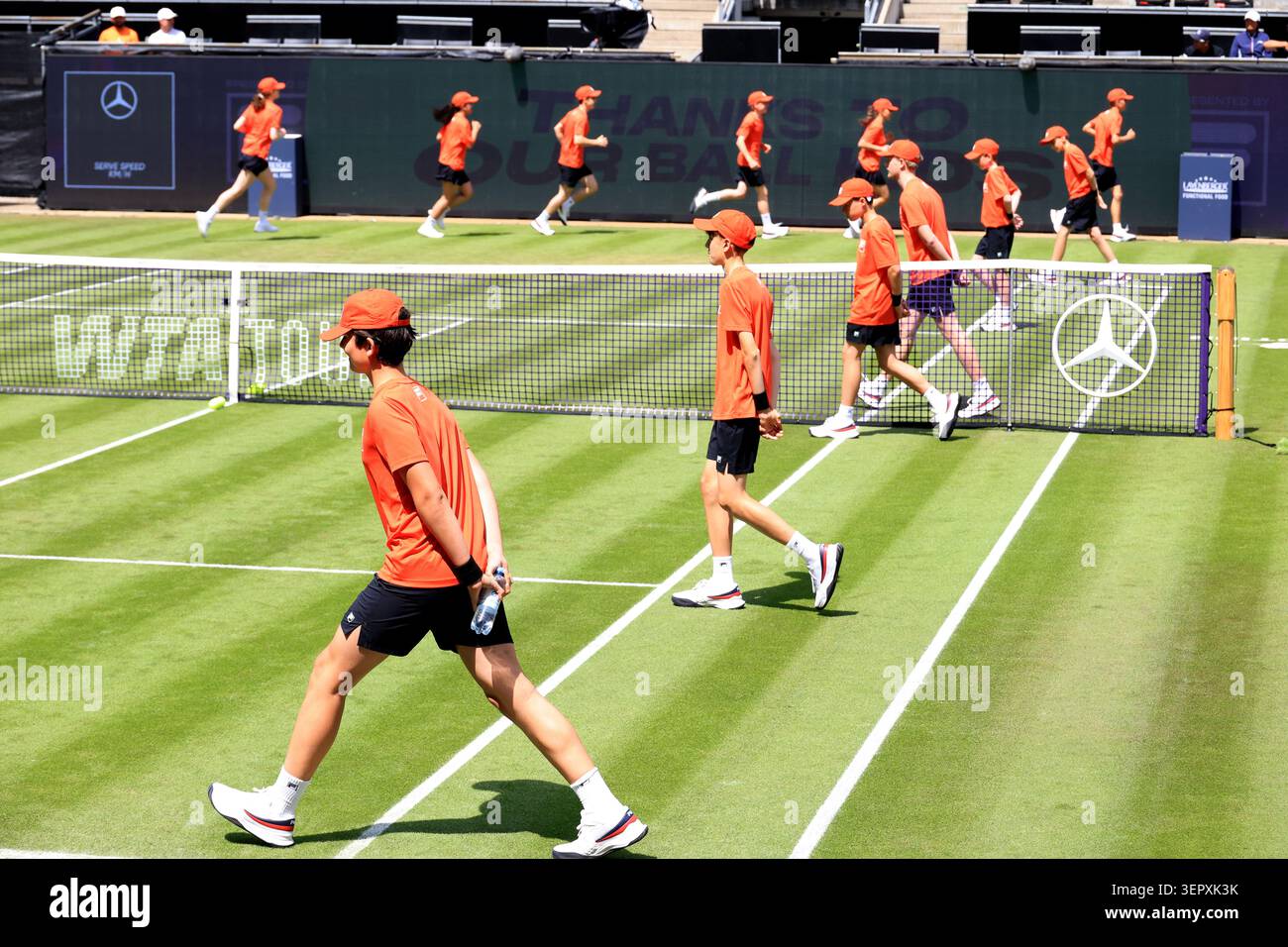June 16, 2026, Rot-Weiss Tennisanlage, Berlin, DEU, Tennis, BERLIN ...