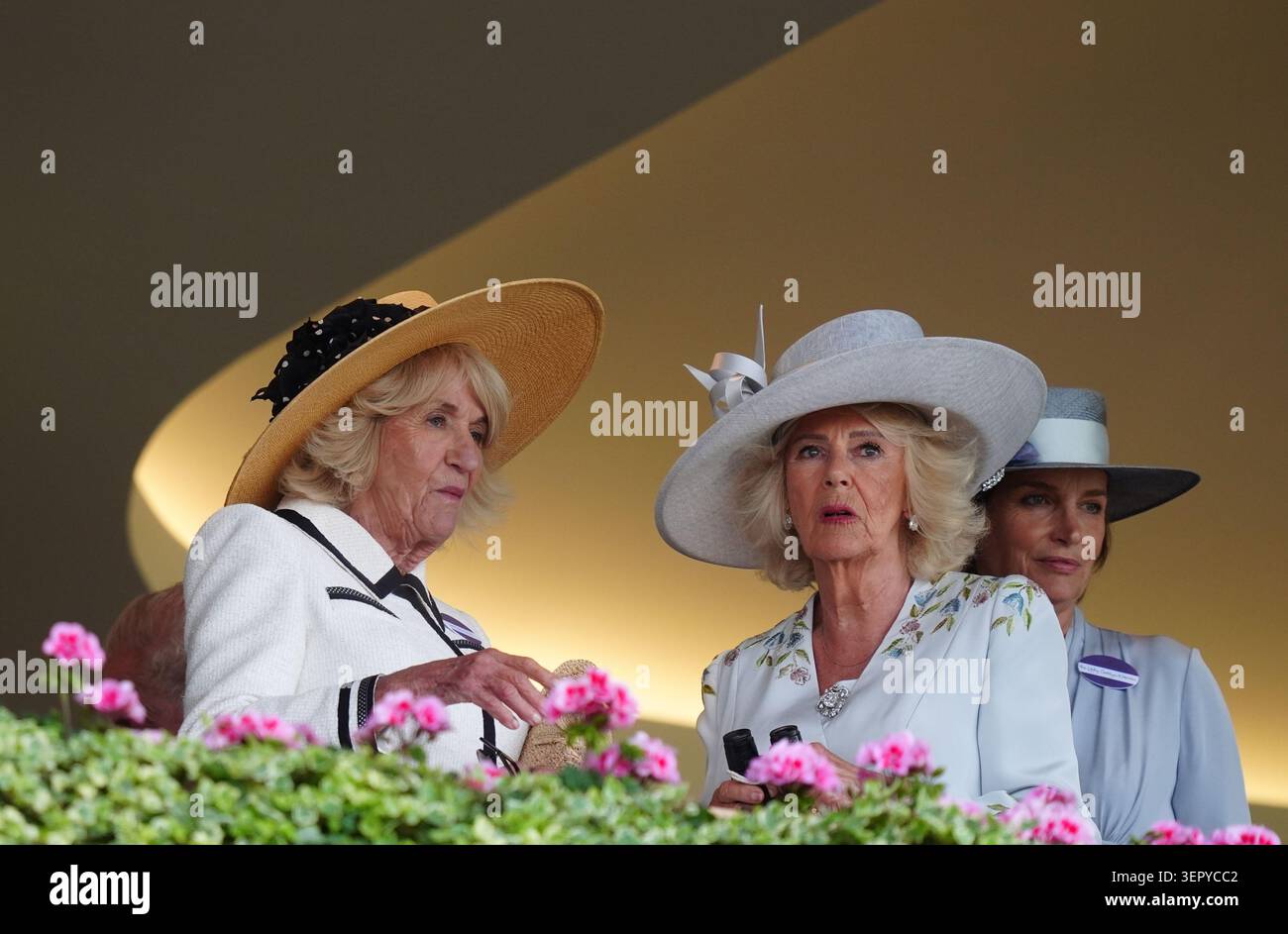 Queen Camilla and Annabel Elliot watching the Ascot Stakes during day ...