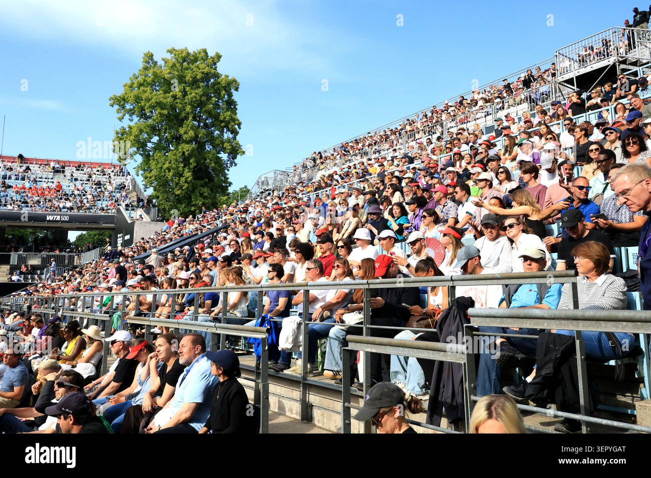 June 16, 2026, Rot-Weiss Tennisanlage, Berlin, DEU, Tennis, BERLIN ...