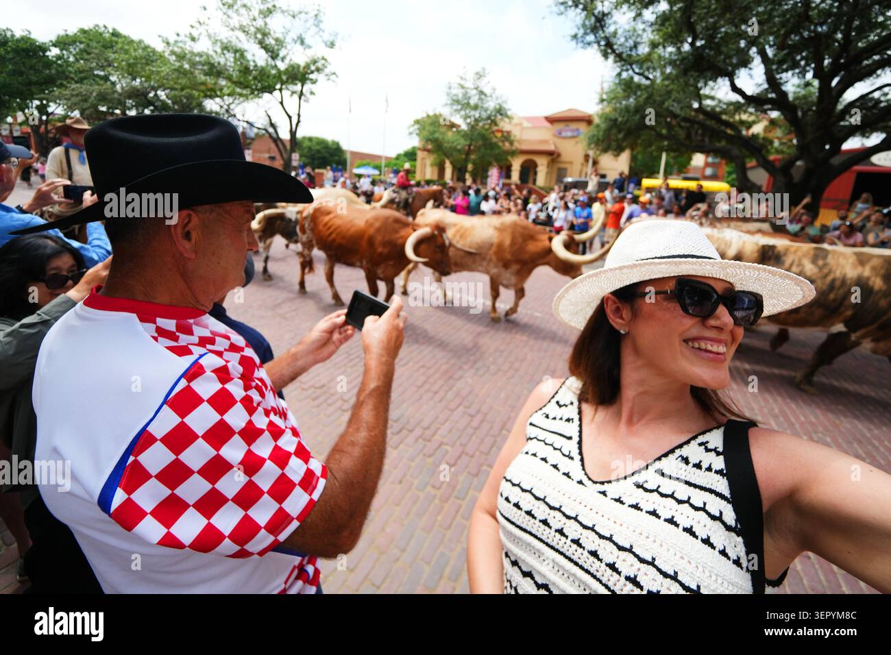 Croatia supporters look on as longhorn take part of a herd walk at the ...
