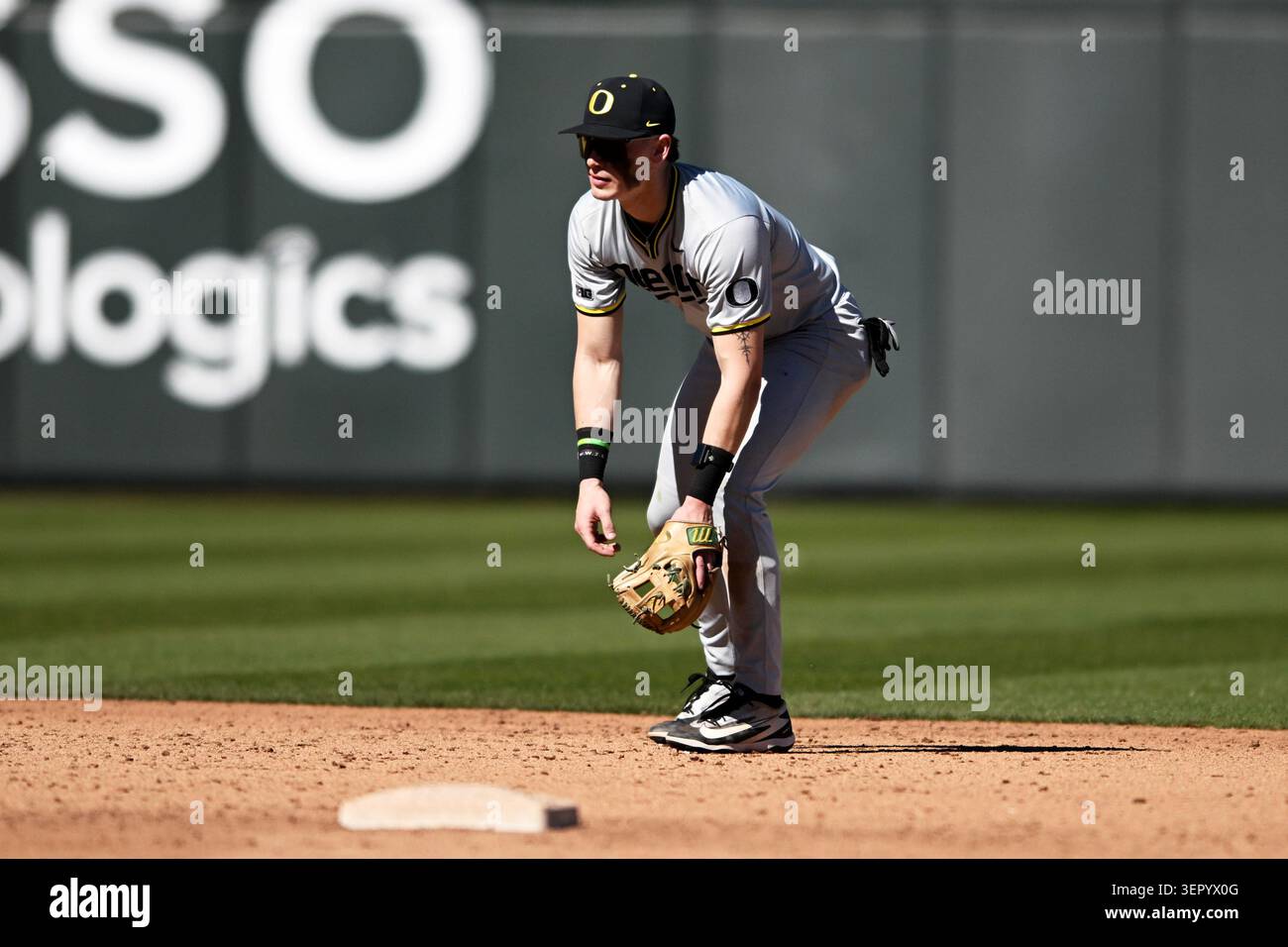 Oregon Ducks shortstop Maddox Molony (9) in a defensive stance during a ...