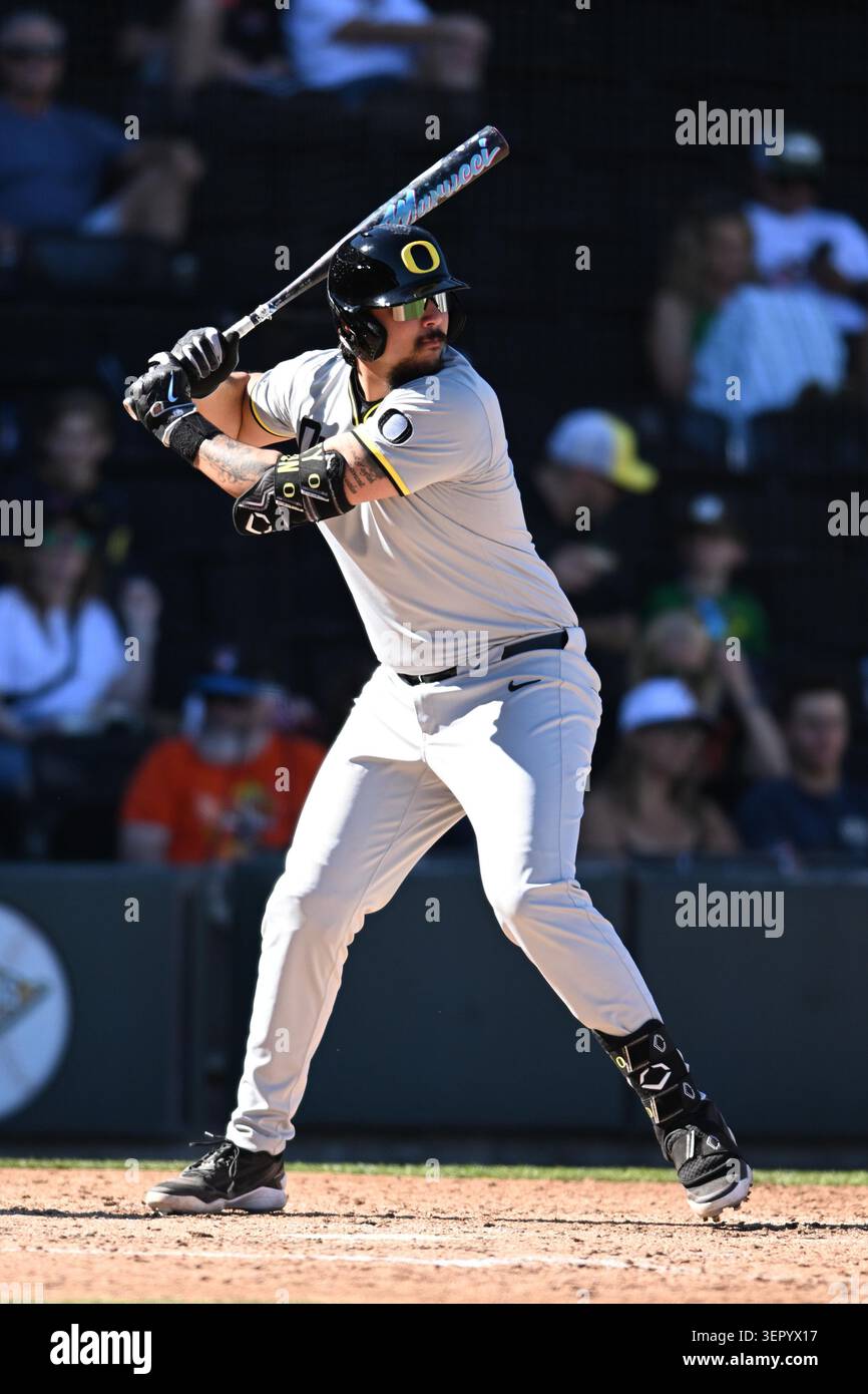 Dominic Hellman (45) of the Oregon Ducks at bat during a game against ...