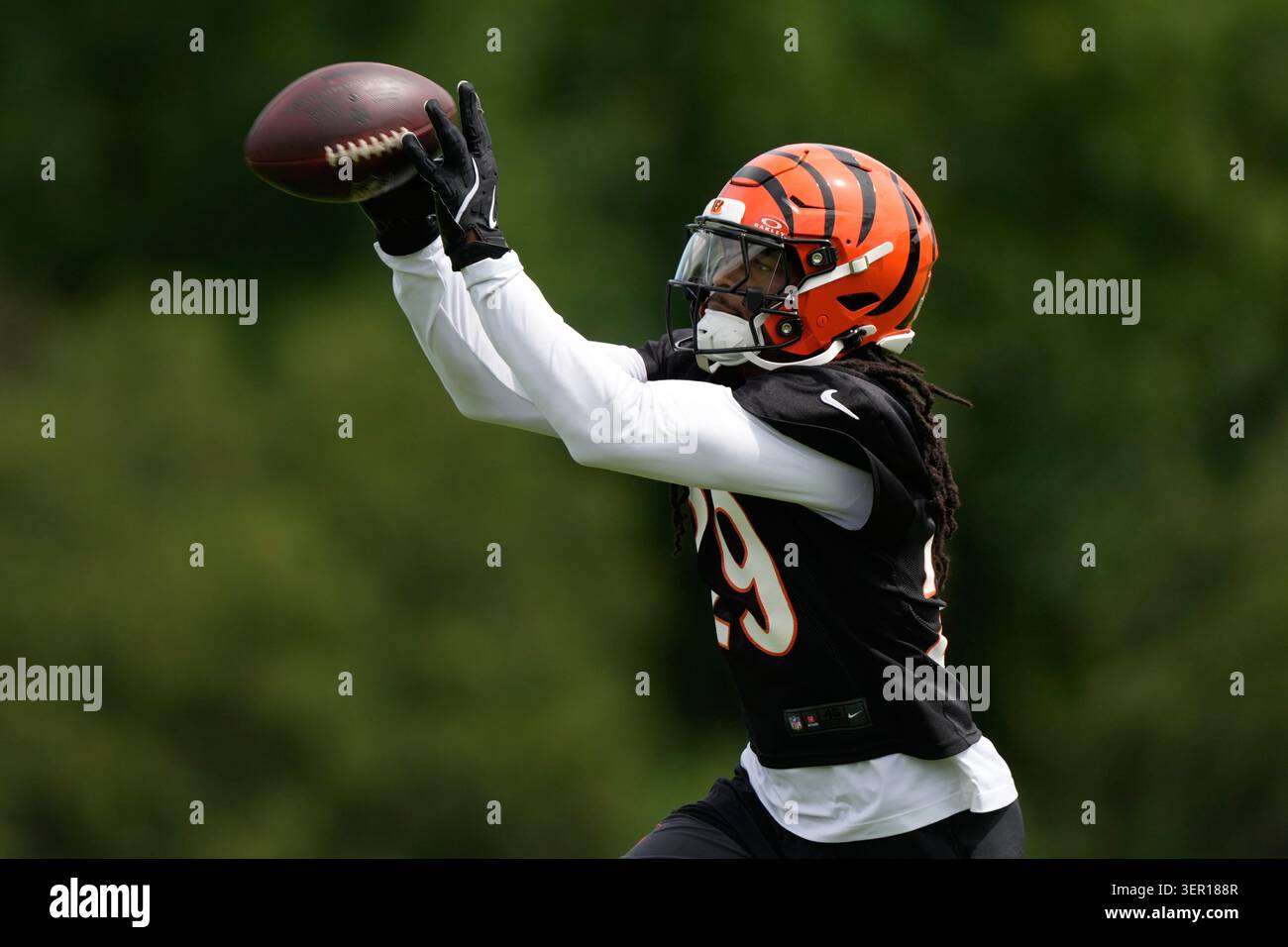 Cincinnati Bengals' Kyle Dugger catches a pass during the NFL football ...