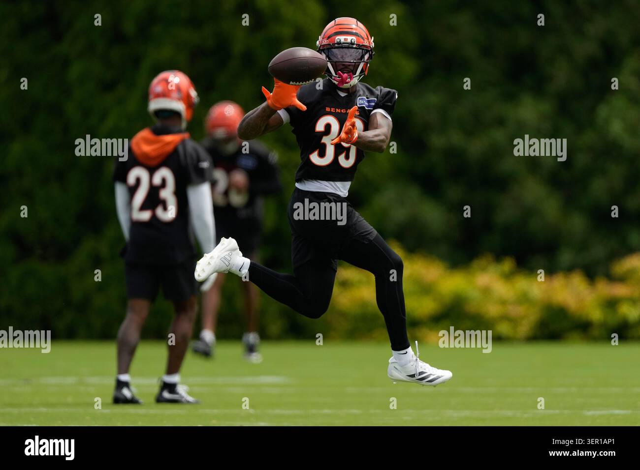 Cincinnati Bengals' Russ Yeast catches a pass during the NFL football ...