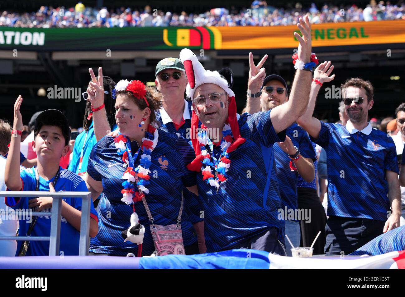 IPA85763410 - Supporters of France during the France vs. Senegal FIFA ...
