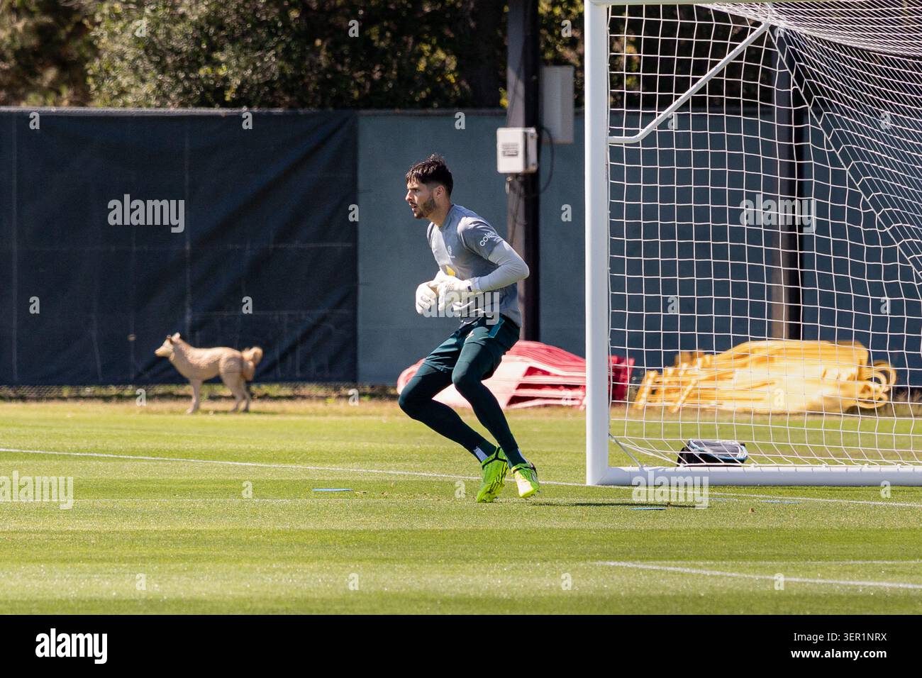 Socceroos player Patrick Beach seen during a training session at the ...