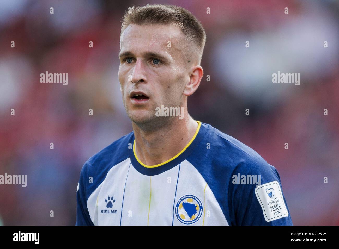 Amar Memic of Bosnia and Herzegovina looks on during the FIFA World Cup ...