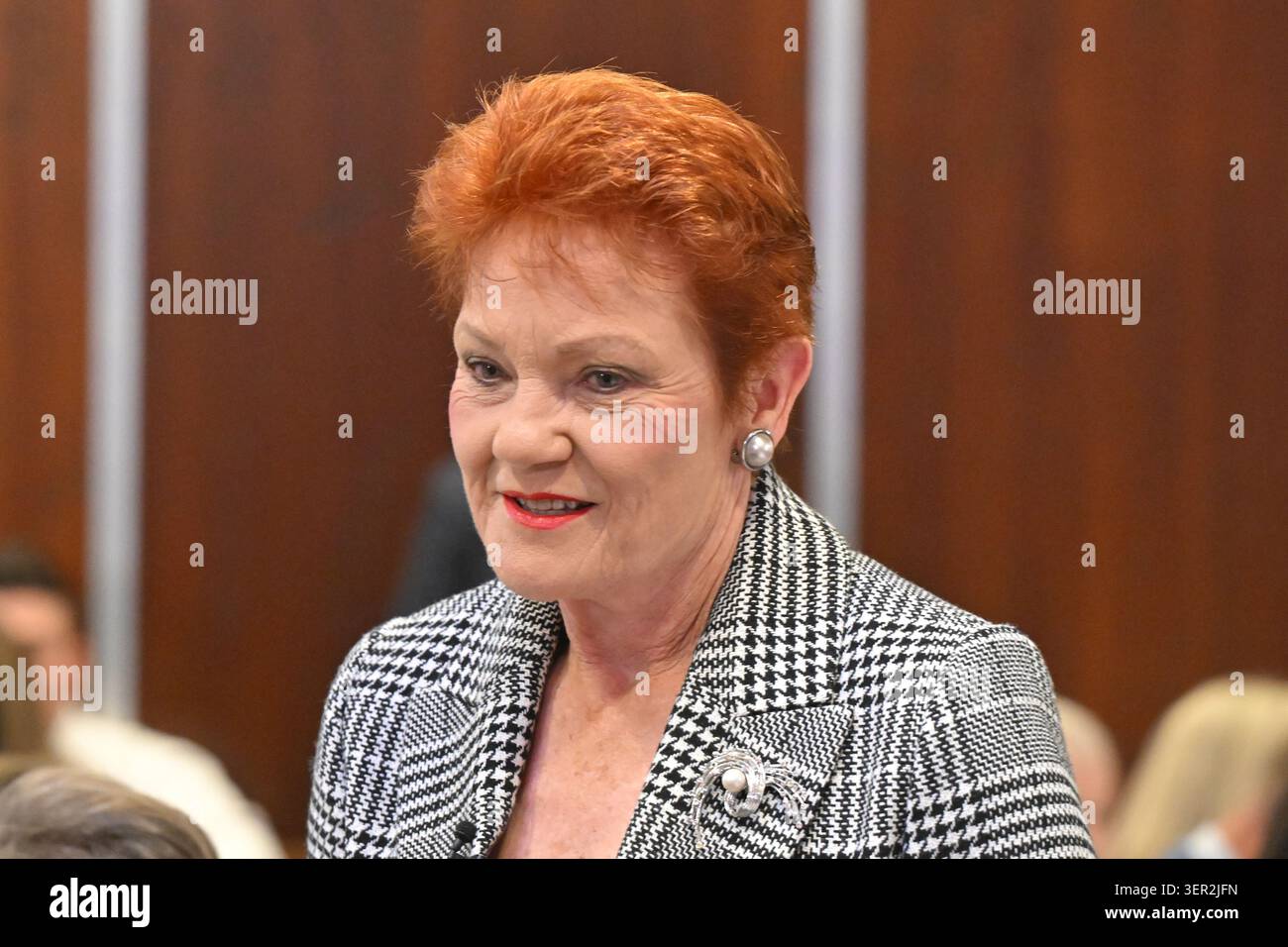 One Nation leader Pauline Hanson at the National Press Club in Canberra ...