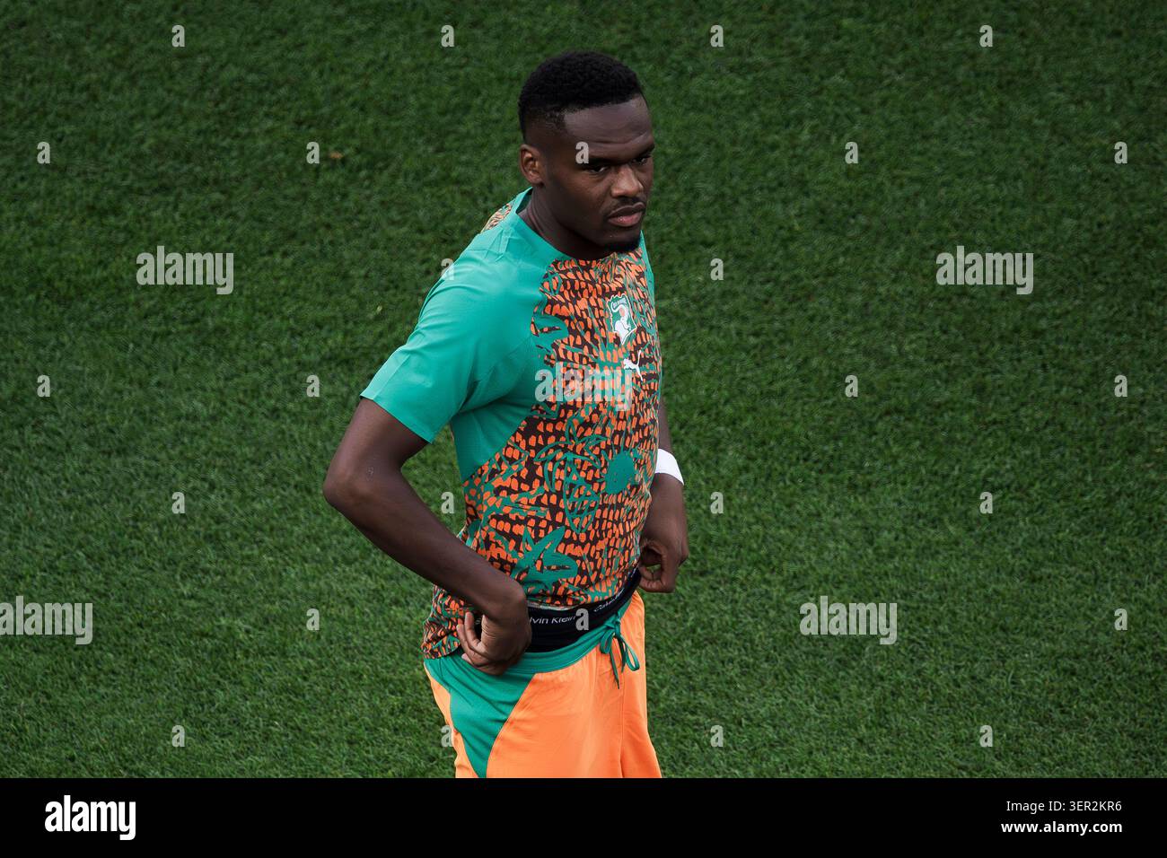 Ange-Yoan Bonny of Cote d'Ivoire looks on prior to the FIFA World Cup ...