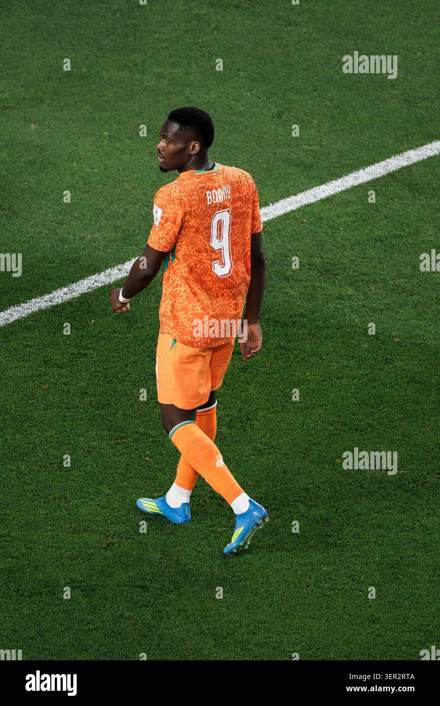 Ange-Yoan Bonny of Cote d'Ivoire looks on during the FIFA World Cup ...