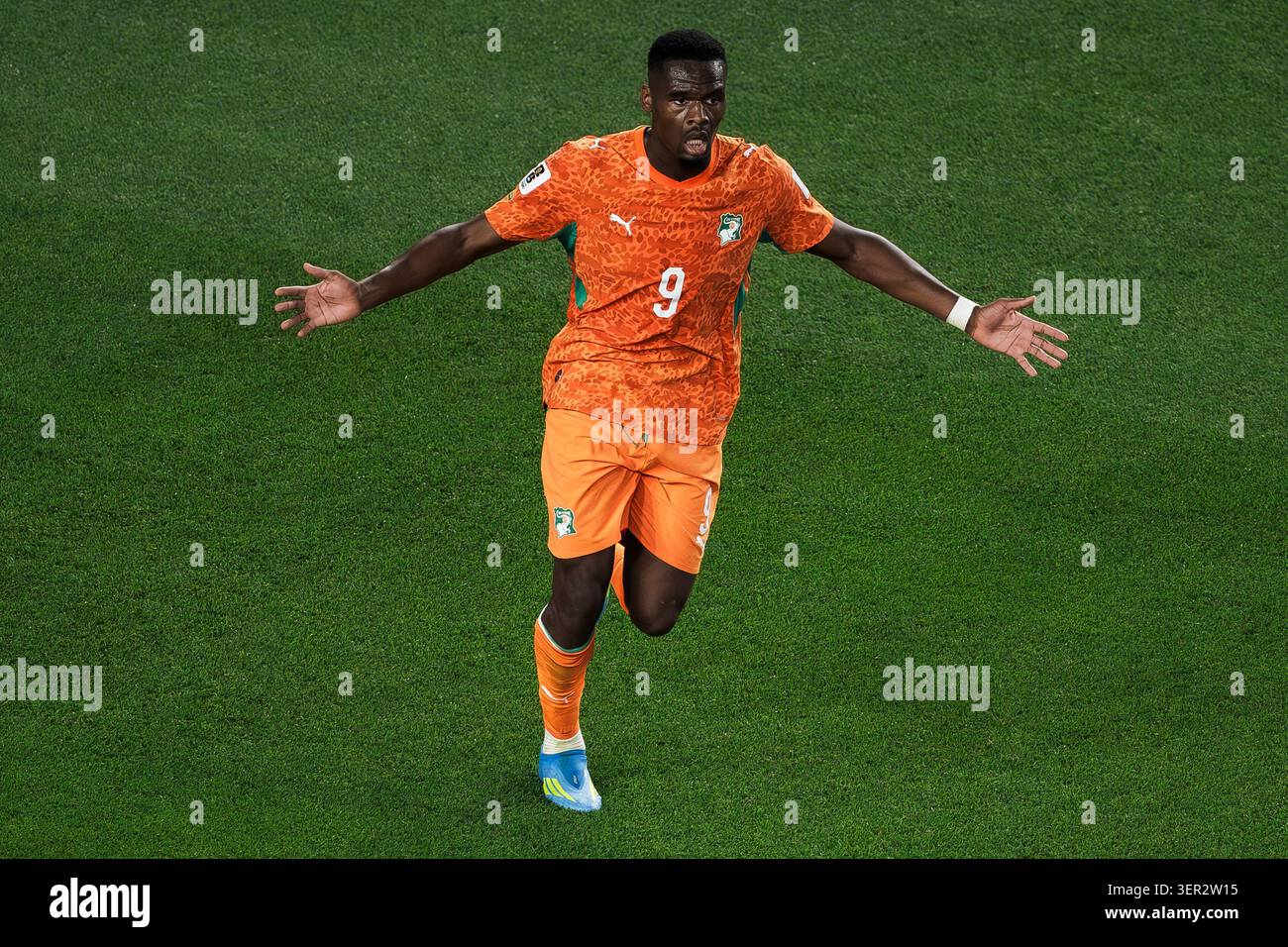 Ange-Yoan Bonny of Cote d'Ivoire gestures during the FIFA World Cup ...