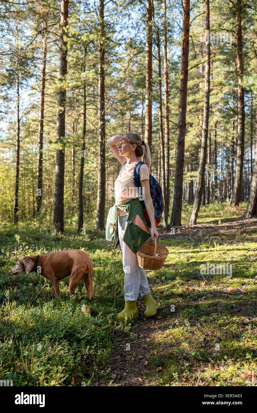 Active woman backpacker forager hunting in wild pine forest for edible ...