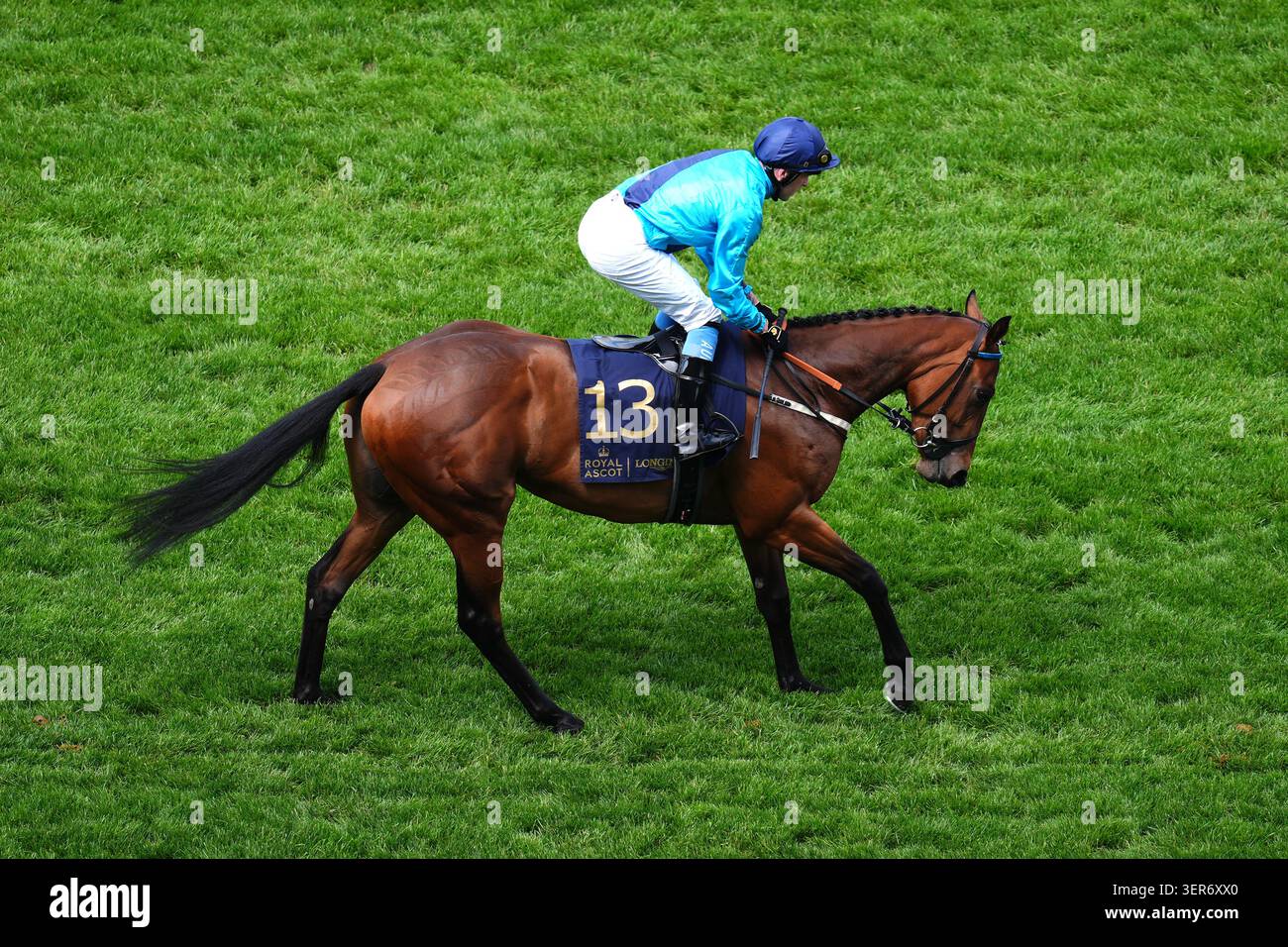 Love A Giggle ridden by Clifford Lee riding to post before the Queen ...