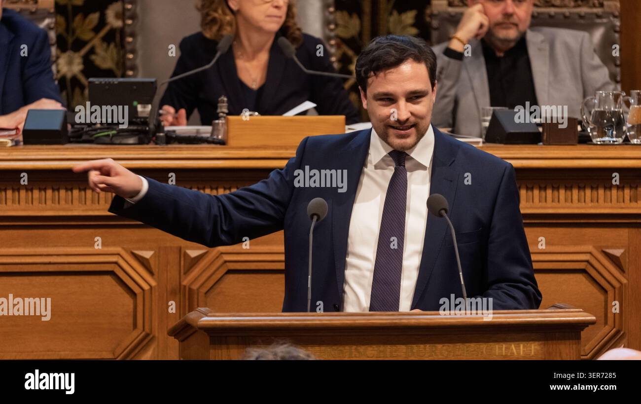17 June 2026, Hamburg: Philipp Heissner (CDU) speaks during the ...