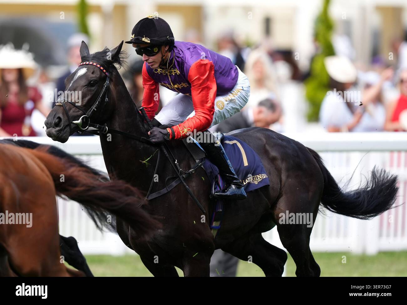 Point Of Law ridden by James Doyle in the Queen's Vase on day two of ...