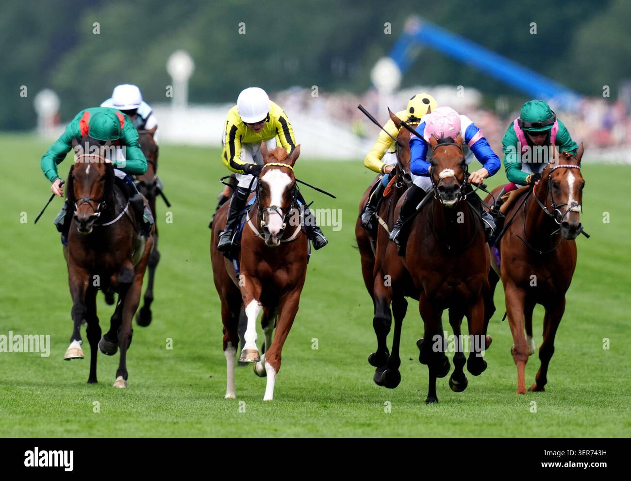 Limestone ridden by Dylan Browne McMonagle (second right) on their way ...