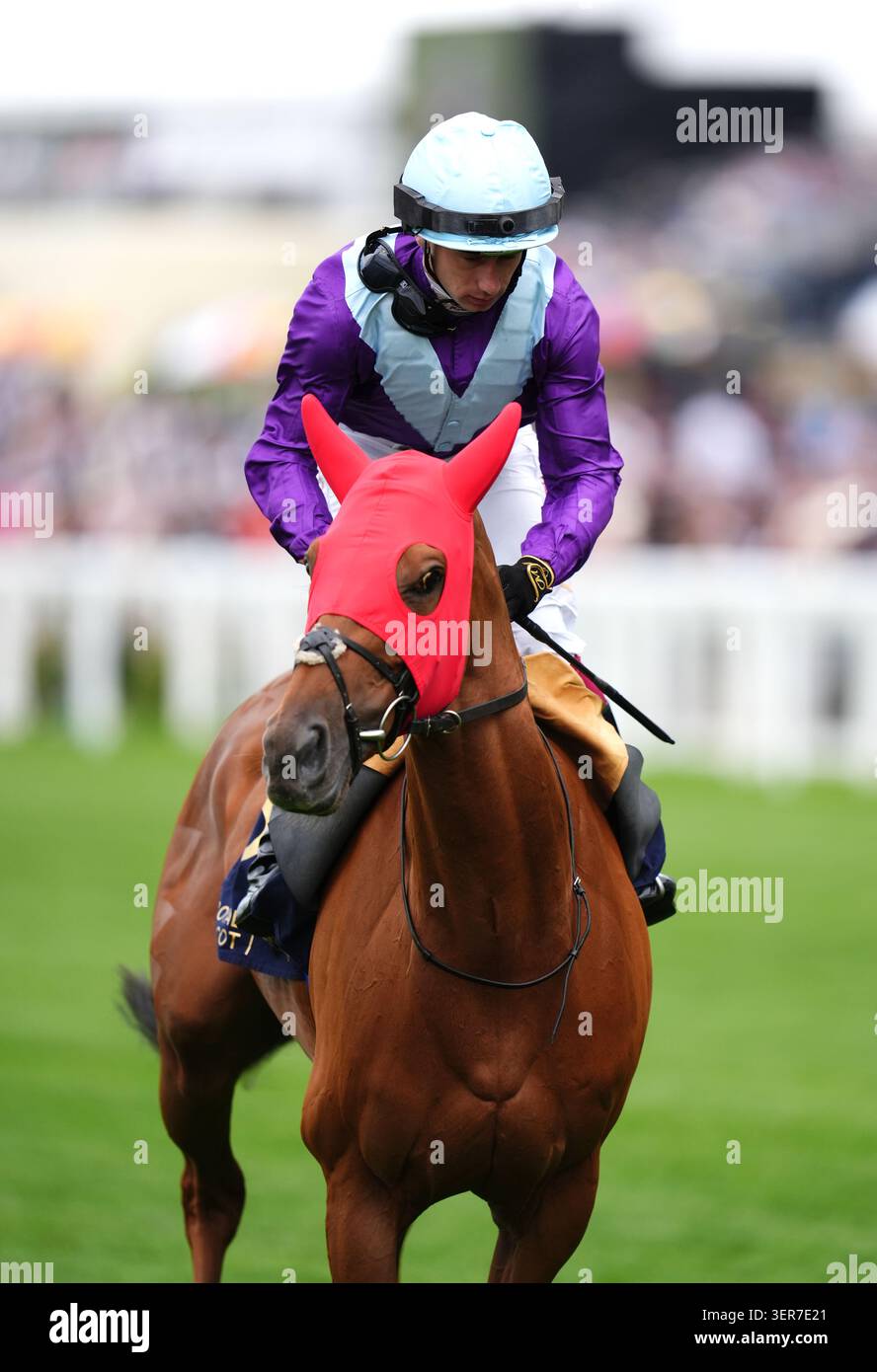 See The Fire ridden by Oisin Murphy riding to post ahead of the The ...
