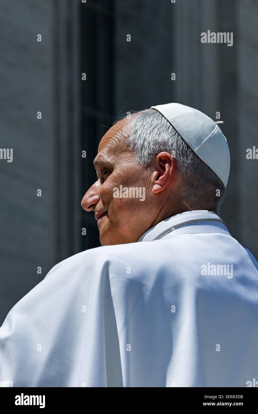 IPA85791175 - Italy, Rome, Vatican, June 17, 2026 Pope Leo XIV during ...