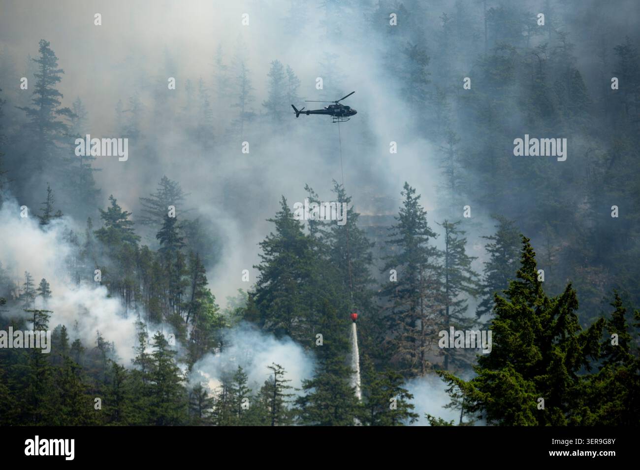 An aerial crew works on the Dryden Creek fire, an out-of-control ...