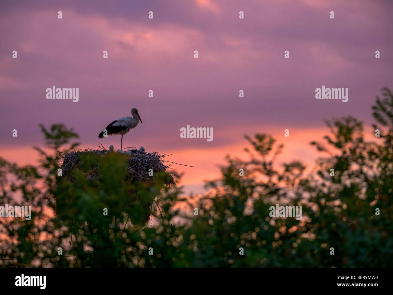Bulgaria Strandja mountians June 17th 2026: Sunset bright colours of ...