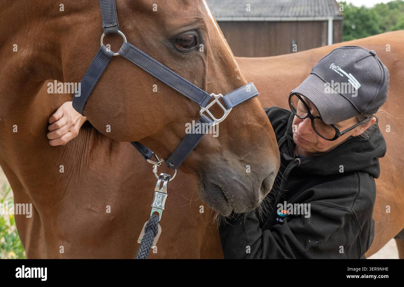 PRODUCTION - 16 June 2026, Hesse, Hanau: Equine osteopath Melanie Gath ...