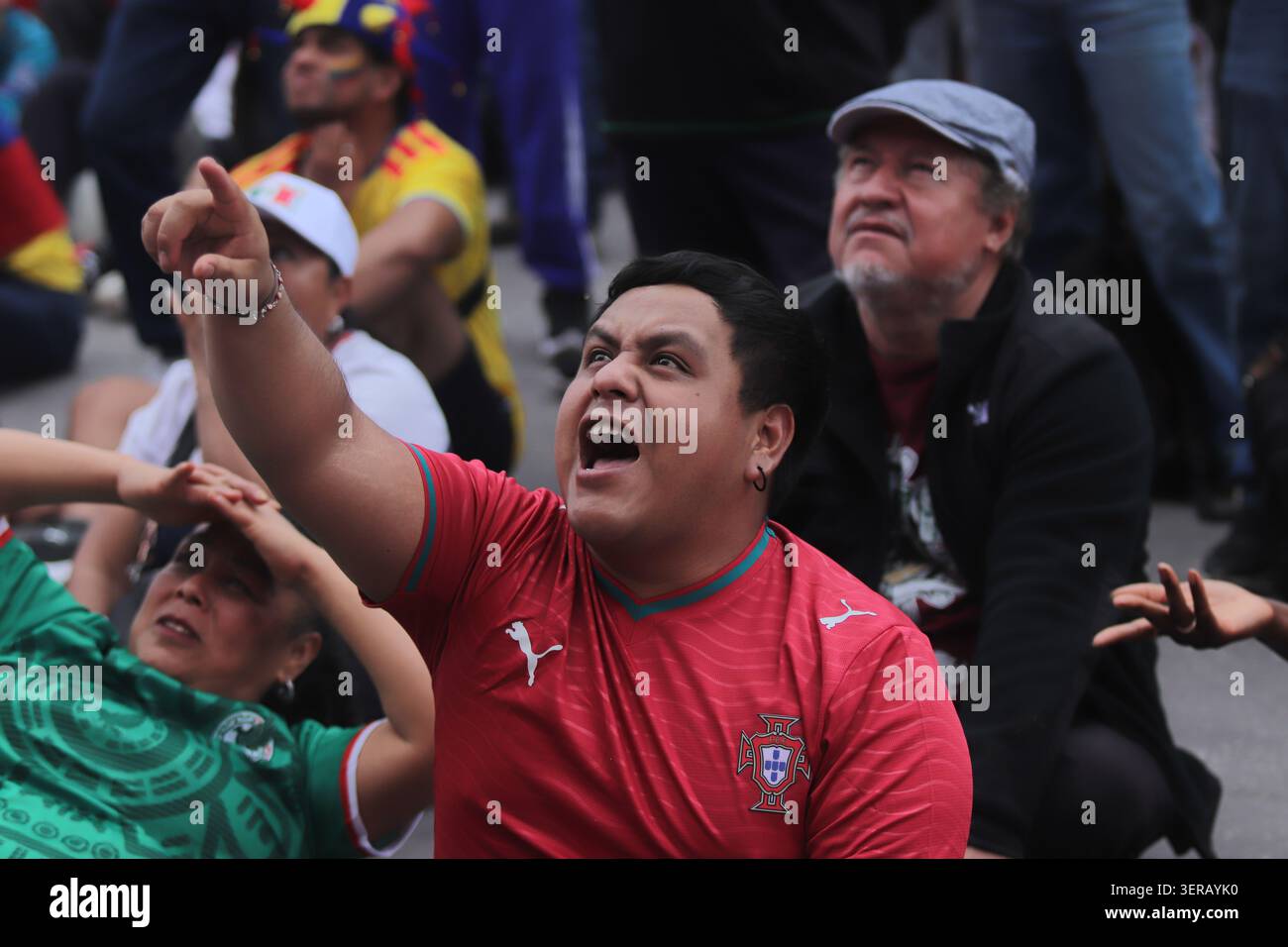 A Fan of Portugal nation team reacts as watching the FIFA World Cup 1st ...