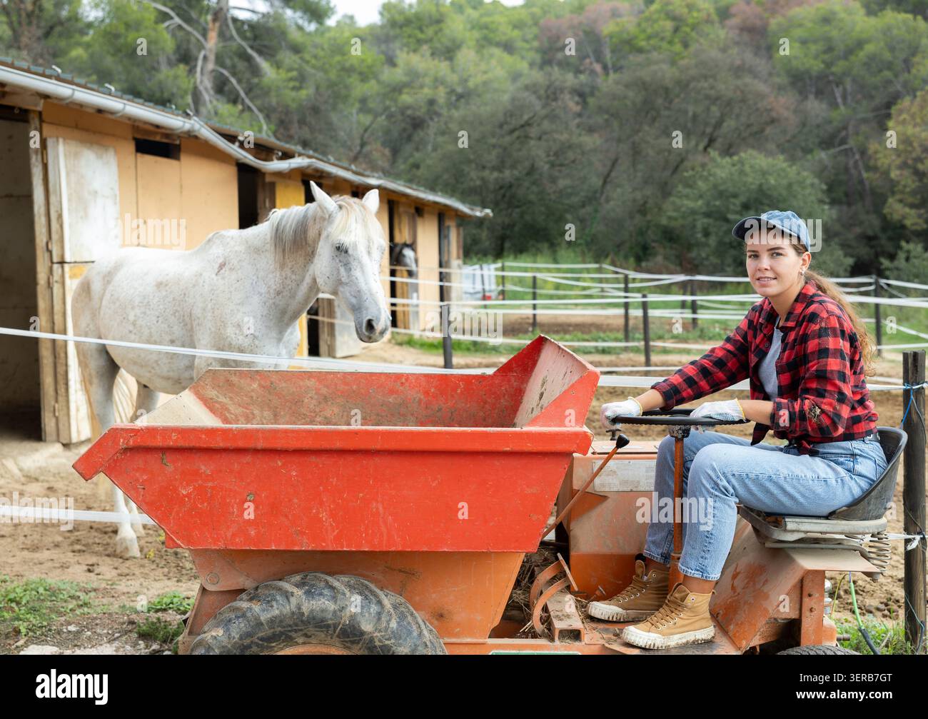 Young girl works on tractor - transporting hay for horses in stable ...