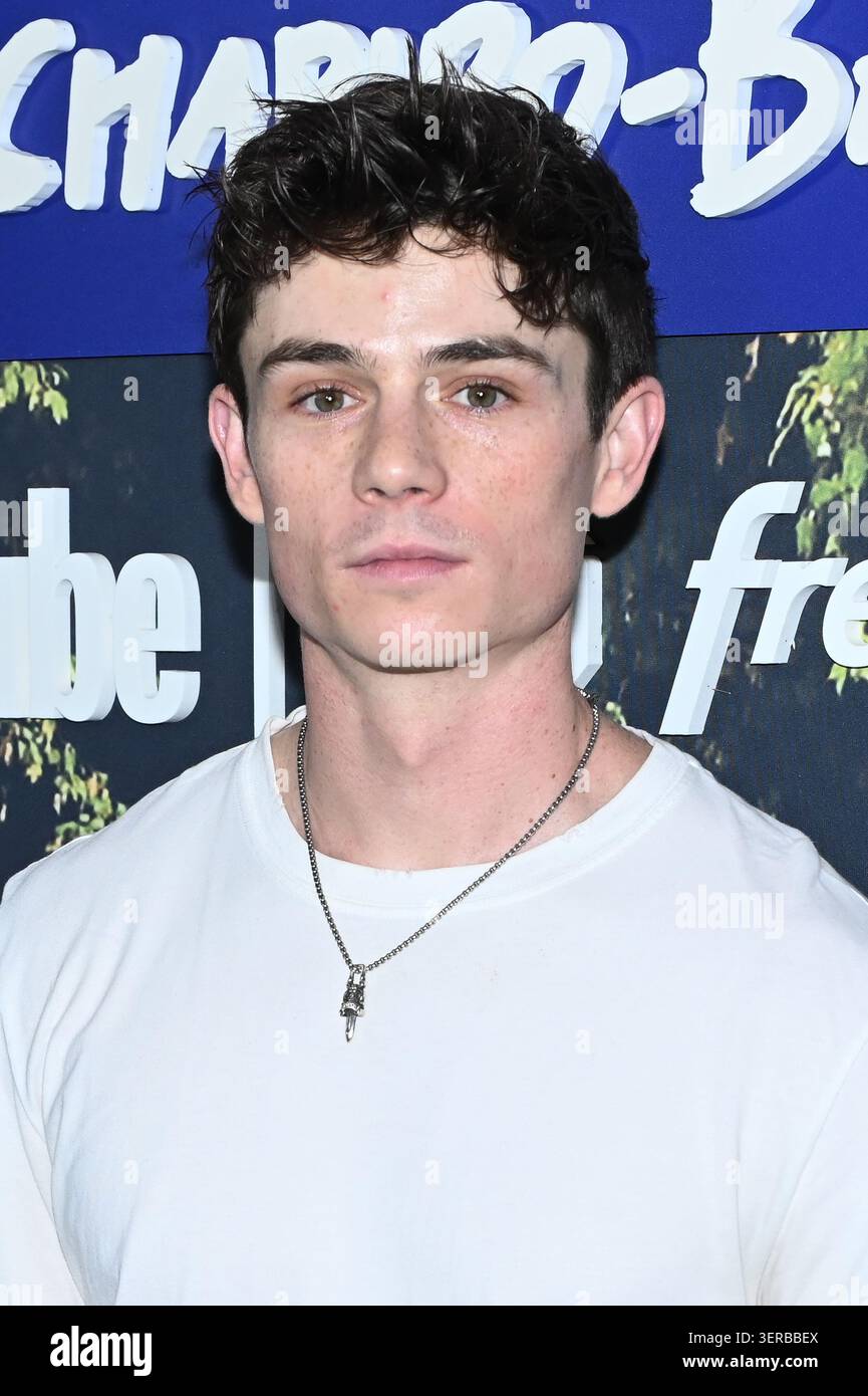 Ashby Gentry attending the exclusive red carpet premiere of YouTube's ...
