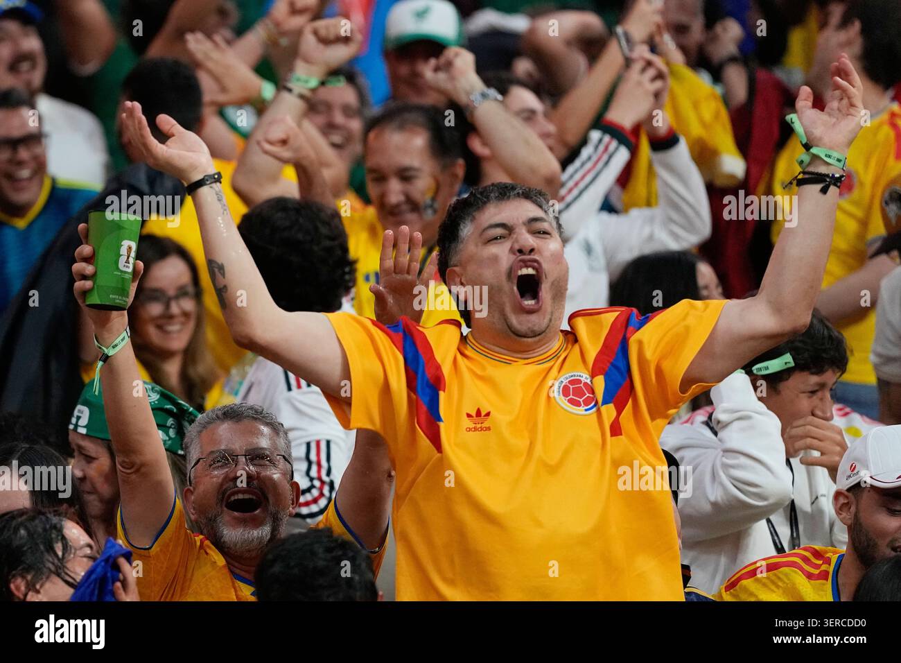 Colombian fans react during the World Cup Group K soccer match between ...