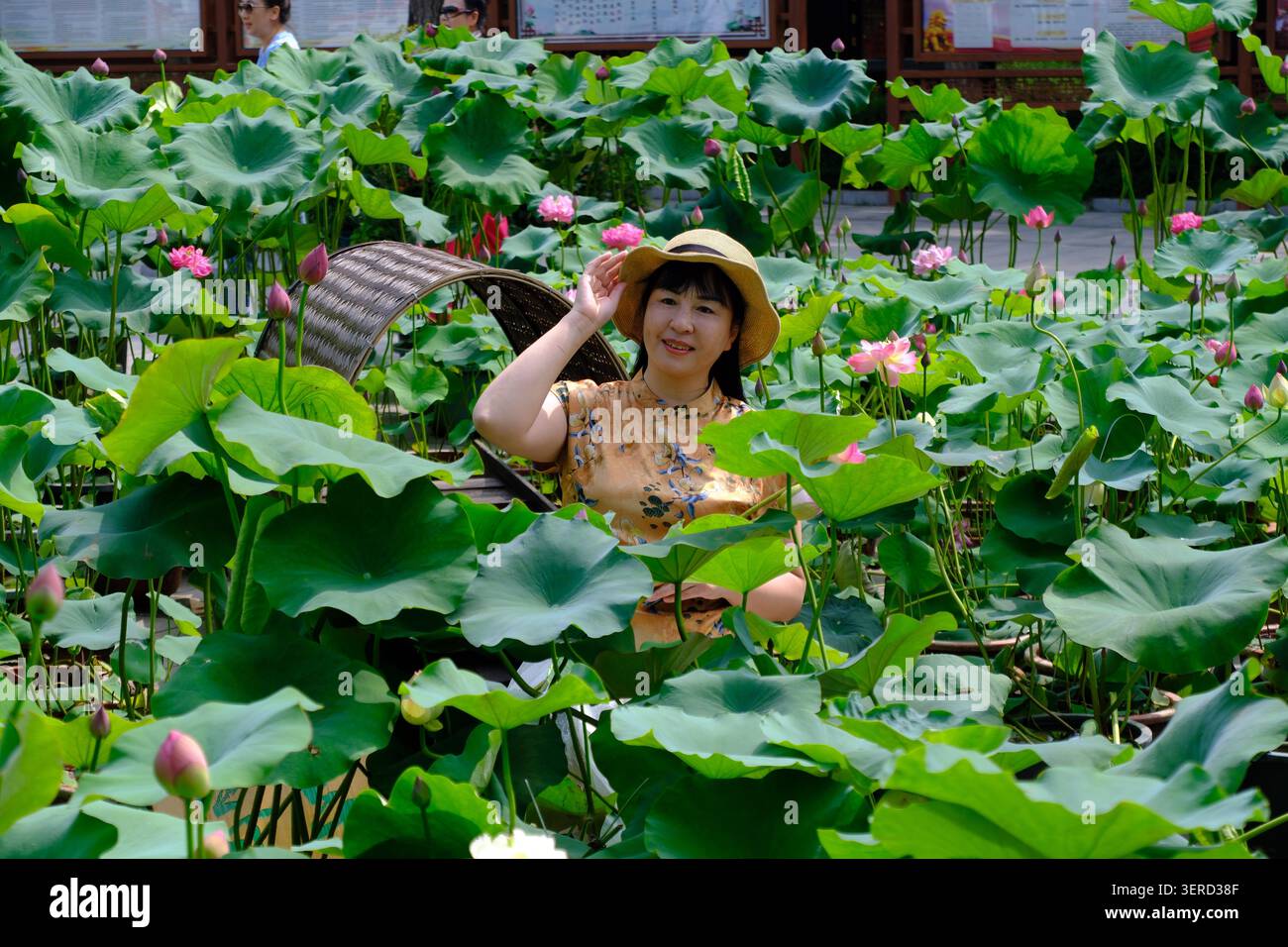 Visitors enjoy potted lotus displays and cultural creative products at ...