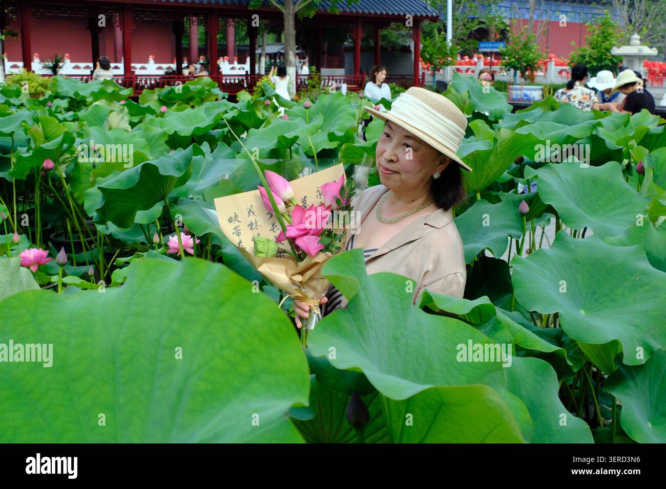 Visitors enjoy potted lotus displays and cultural creative products at ...