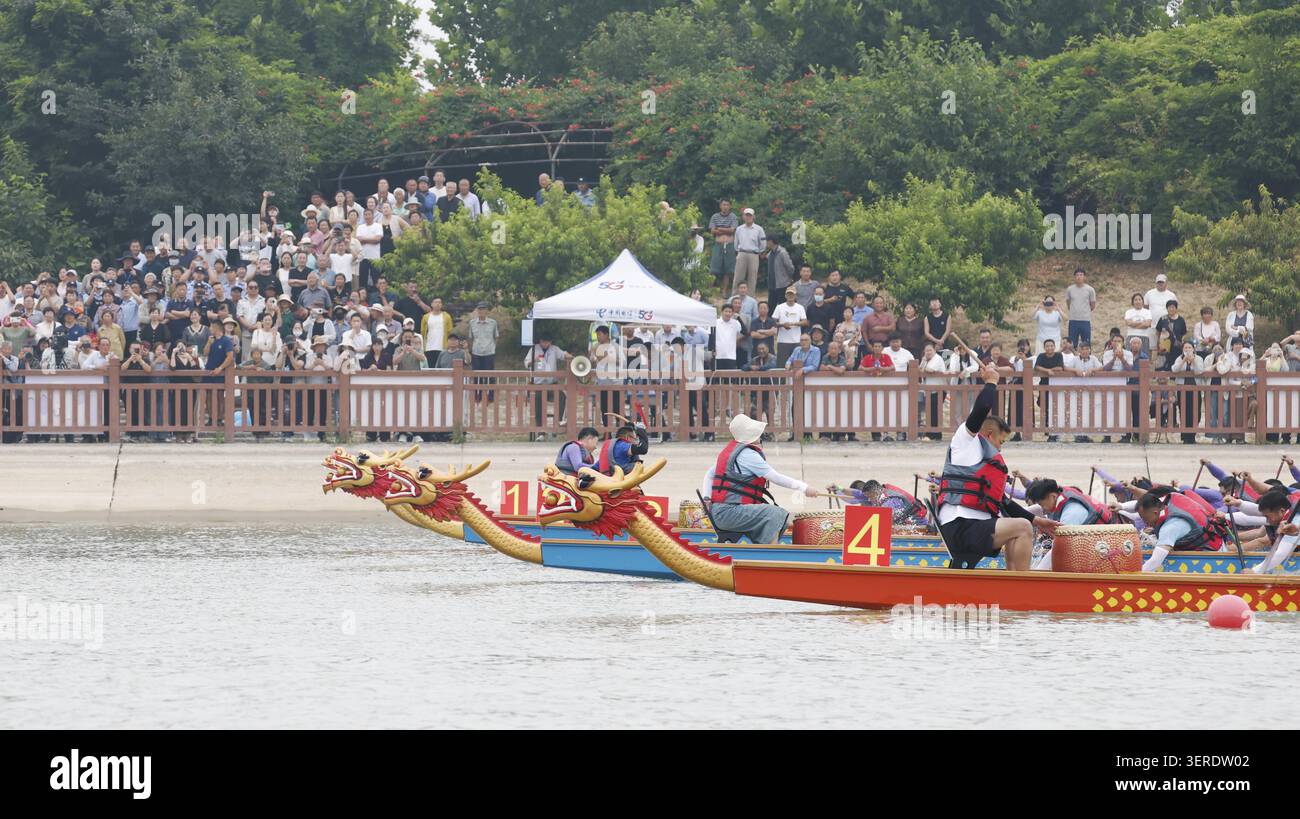 Teams compete during the 7th Sihong County Dragon Boat Race on the ...