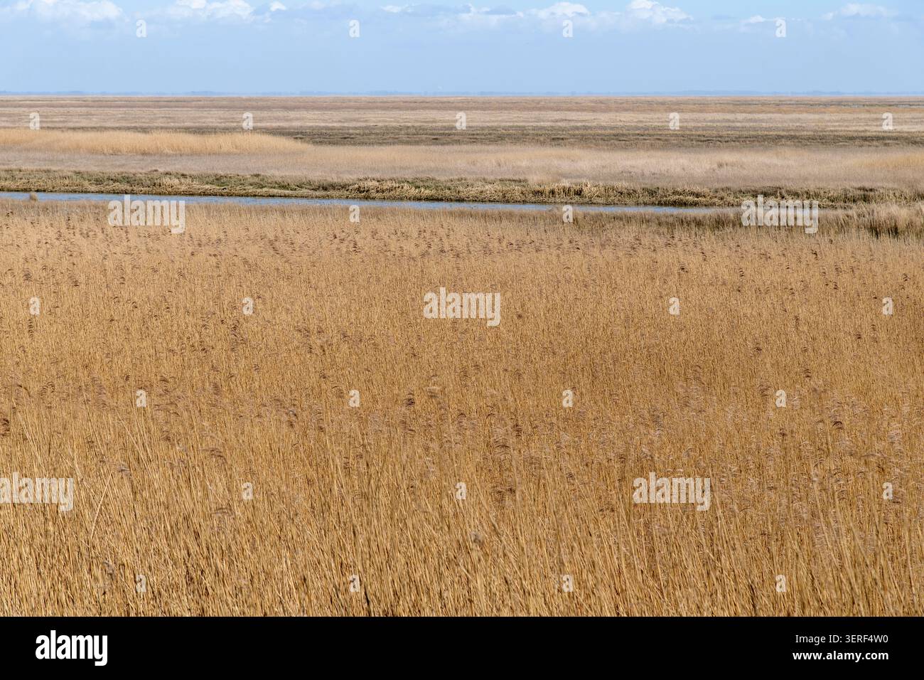 Southern tip of Fano Island, Denmark, with marshes and wetlands with ...