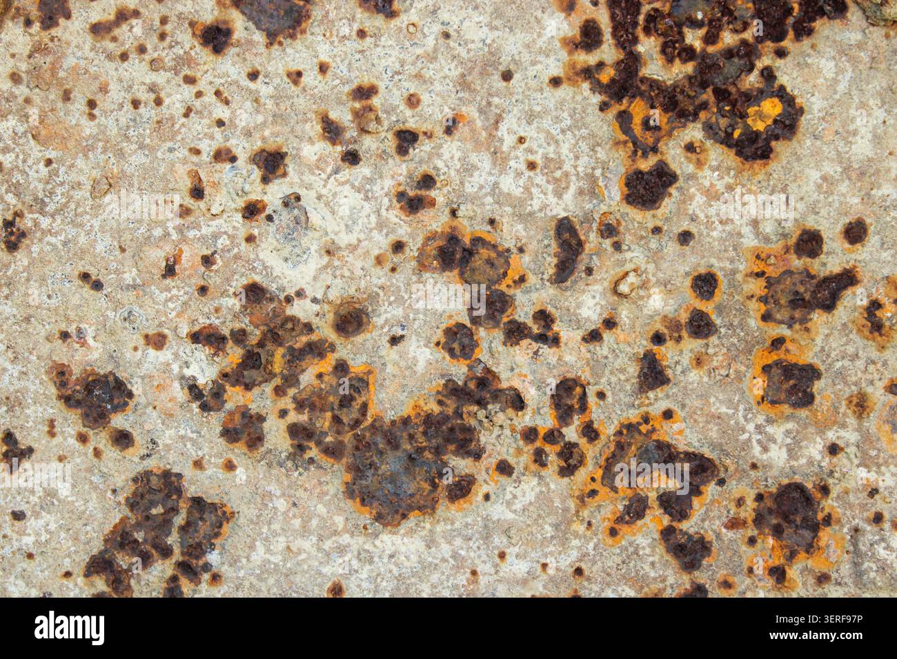 Rust forms intricate patterns on a concrete surface, showcasing various ...