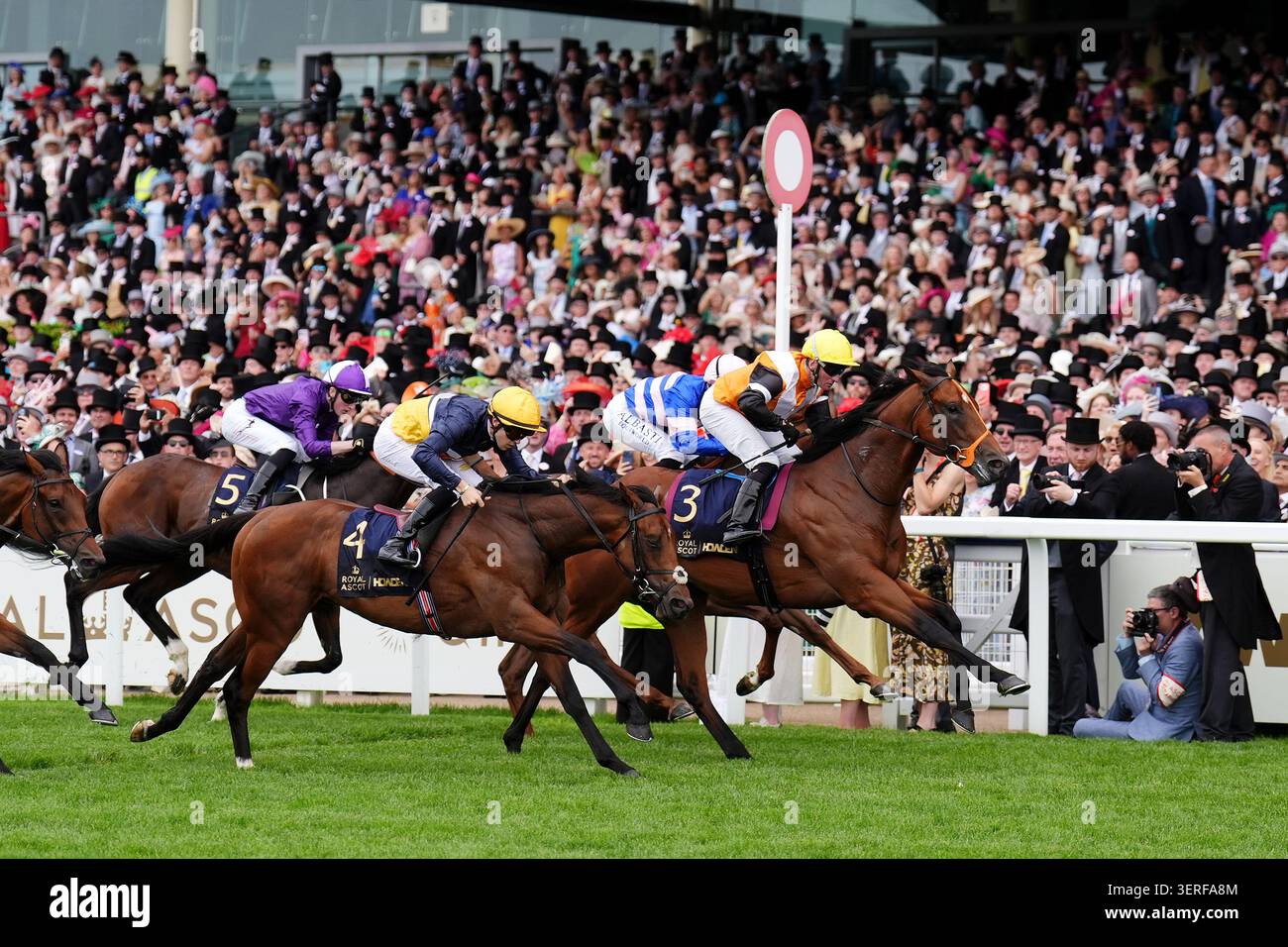 Nola Soul ridden by Seamie Heffernan wins the Chesham Stakes on day ...
