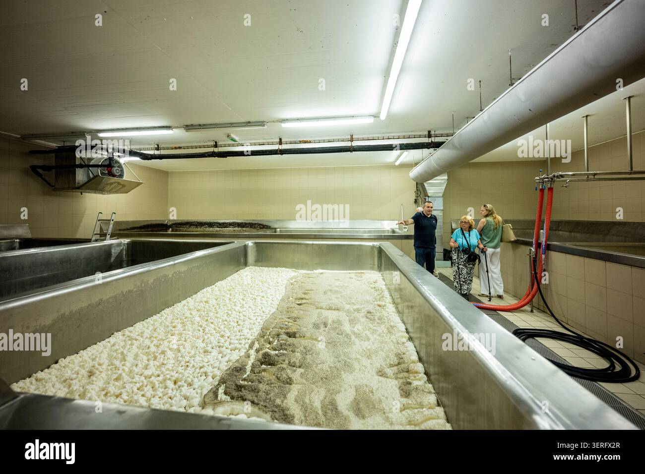 Press conference of Pivovar Rohozec brewery, include presentation of ...