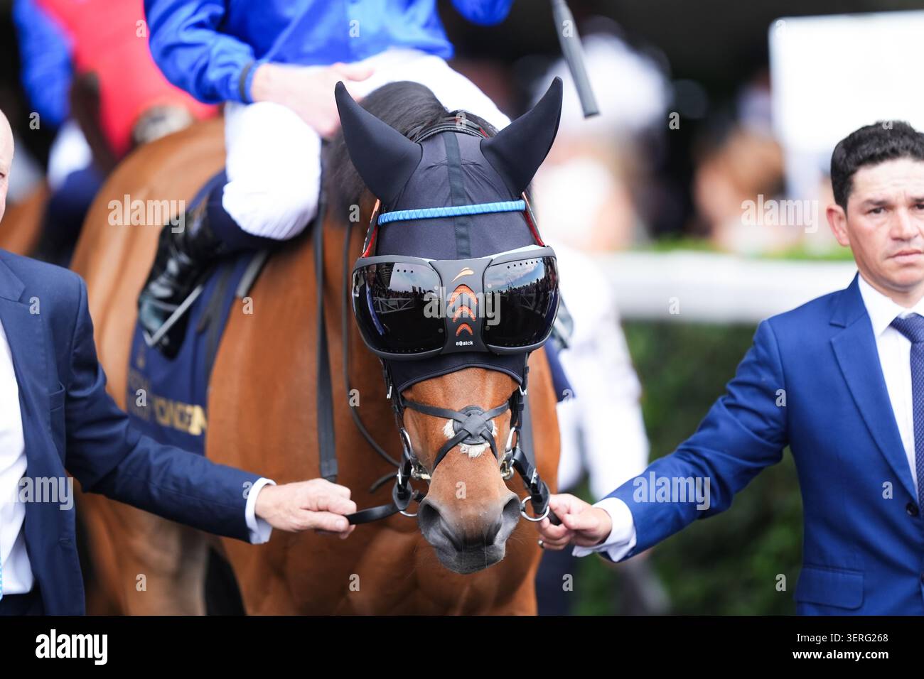 Trawlerman sporting goggles ahead of the Gold Cup on day three of Royal ...