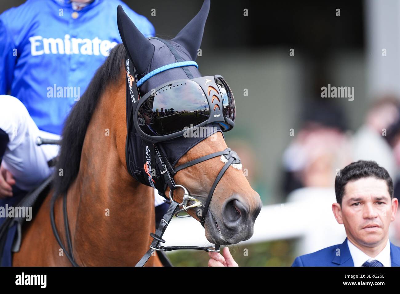 Trawlerman sporting goggles ahead of the Gold Cup on day three of Royal ...