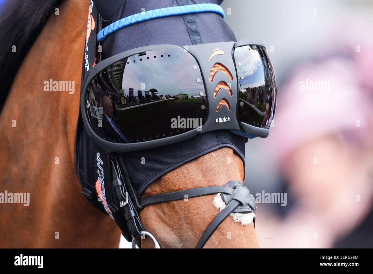 Trawlerman sporting goggles ahead of the Gold Cup on day three of Royal ...