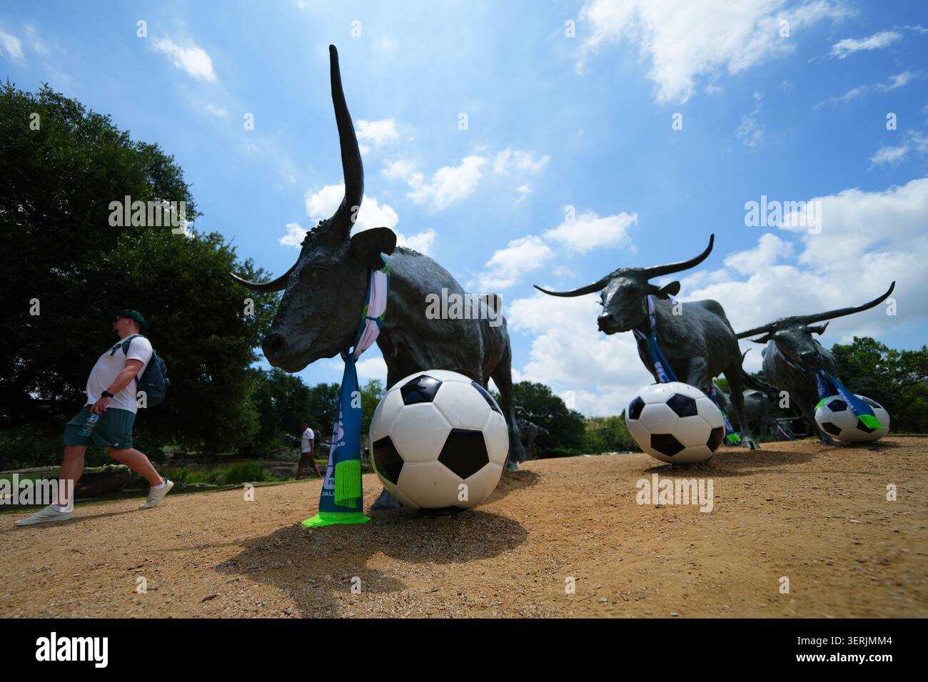 Soccer balls are seen near statues of cattle in honor of the World Cup ...