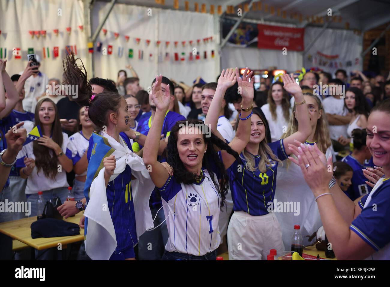 Bosnia and Herzegovina fans are ready for the start of the Bosnia and ...
