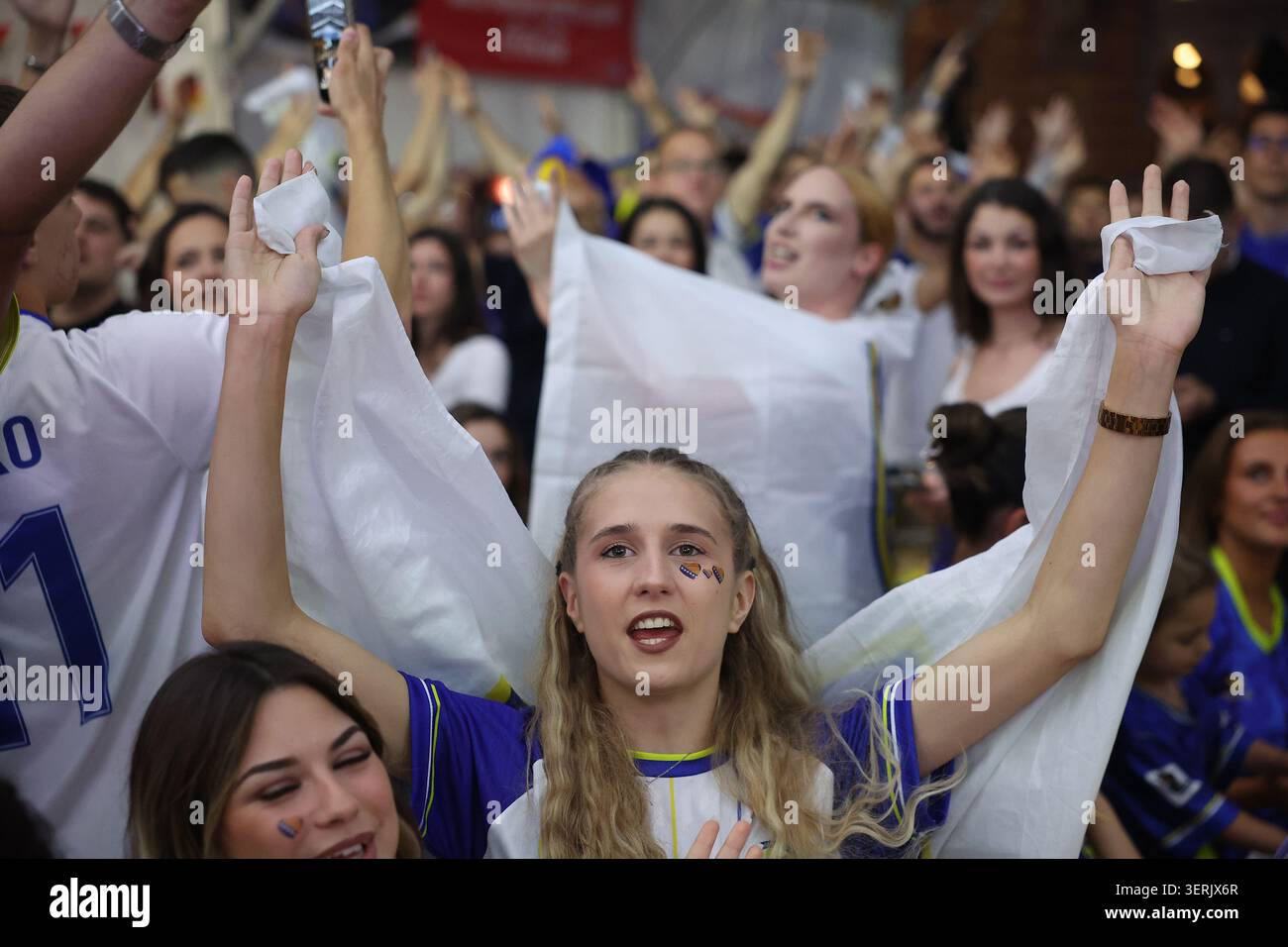 Bosnia and Herzegovina fans are ready for the start of the Bosnia and ...