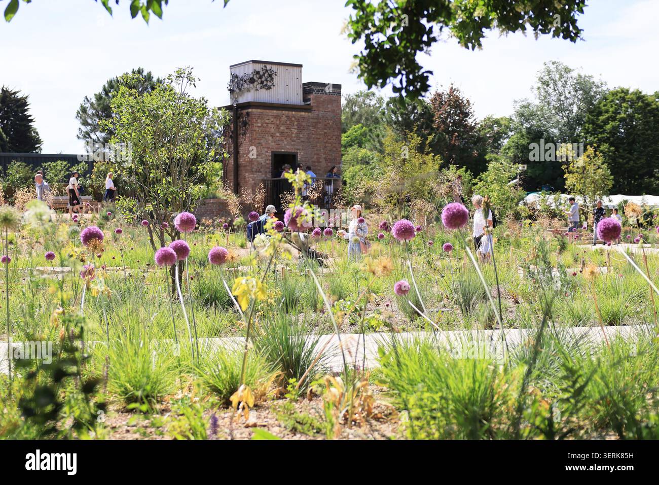 The Queen Elizabeth II Garden in Regents Park, transformed plant ...