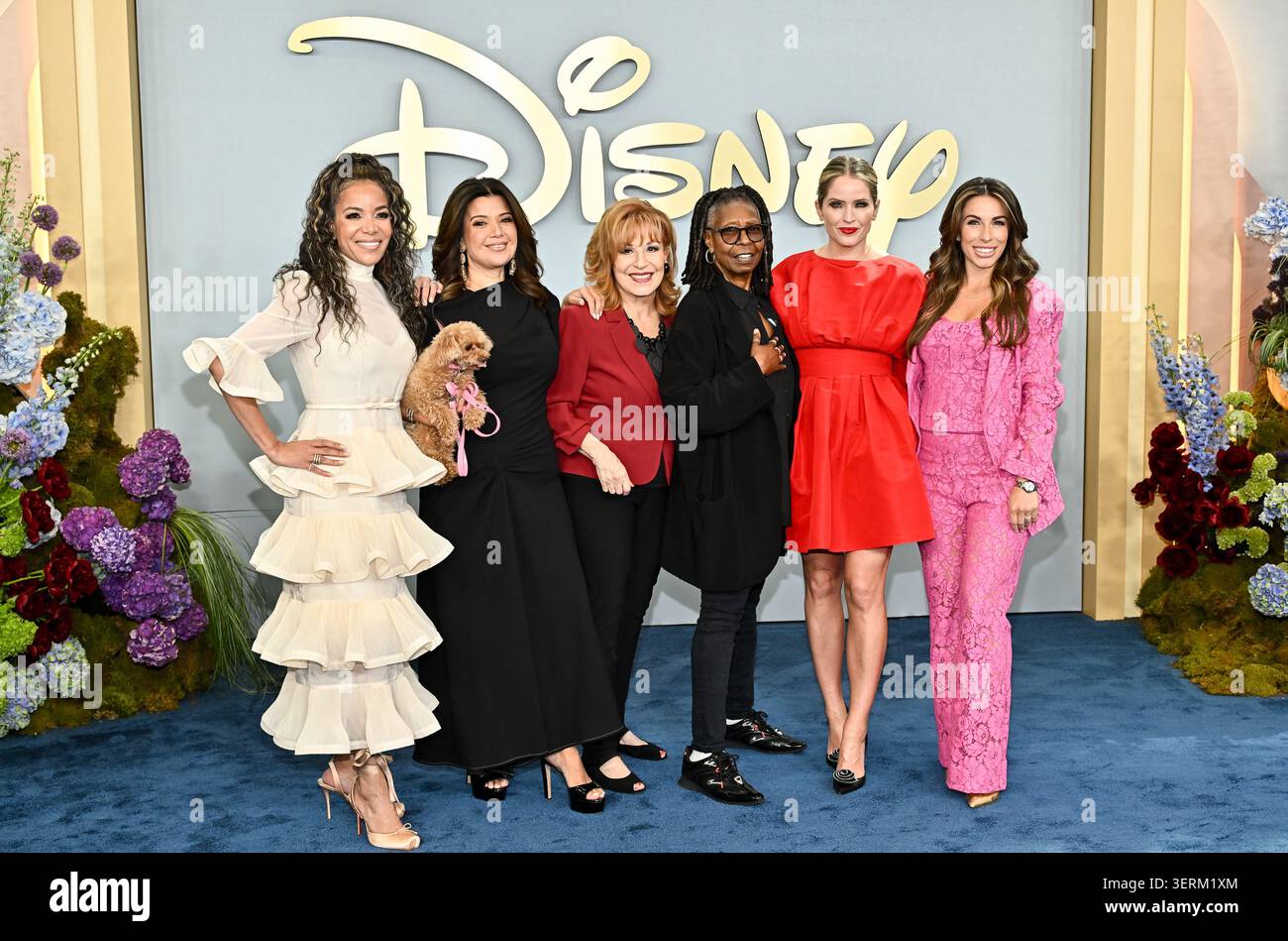 Sunny Hostin, from left, Ana Navarro, Joy Behar, Whoopi Goldberg, Sara ...