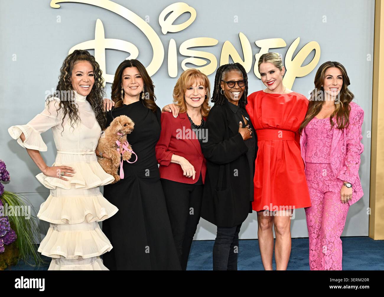 Sunny Hostin, from left, Ana Navarro, Joy Behar, Whoopi Goldberg, Sara ...