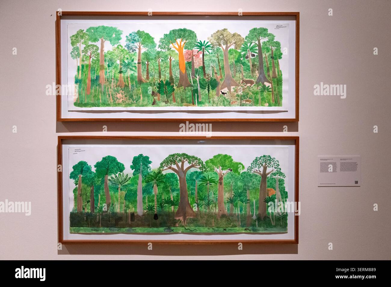 Buenos Aires (Jun. 11th 2026) Abel Rodríguez / Mogaje Guihu: "El árbol ...